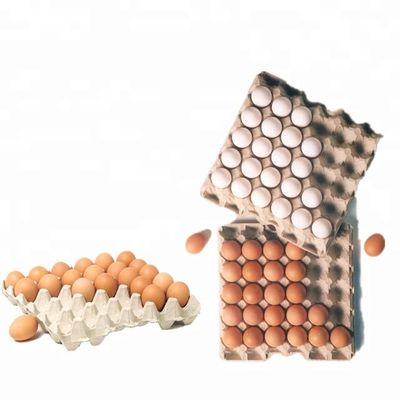 Waste Paper Making Pulp Packaging Machine 220V Recycling Full Automatic