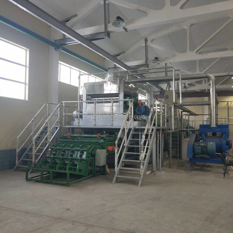 6000 pcs/hr Rotary Egg Tray Machine Line