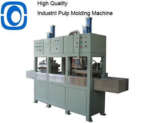 CE Certified Pulp Molding Tableware Machine 126kw Sugarcane Bagasse Making