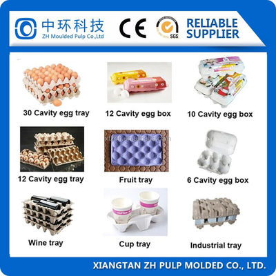 Fully Automated Fruit Tray Making Machine